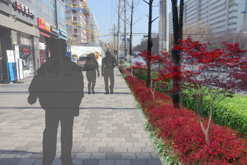 Seoul to create 'wind path' forests to direct clean air into the city ...