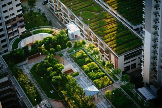 31 cities commit to green infrastructure targets - Cities Today
