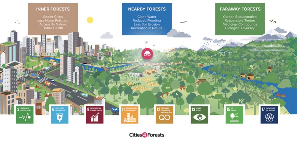 Forest-based solutions for enhancing quality of life in cities - Cities ...