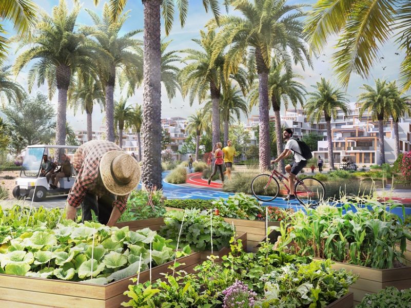 Saudi Arabian smart city project promises to be 'zero carbon' - Cities ...