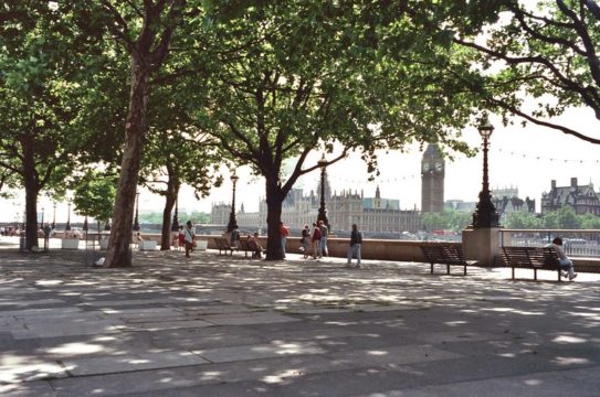 London launches tree planting scheme after record heatwave - Cities Today