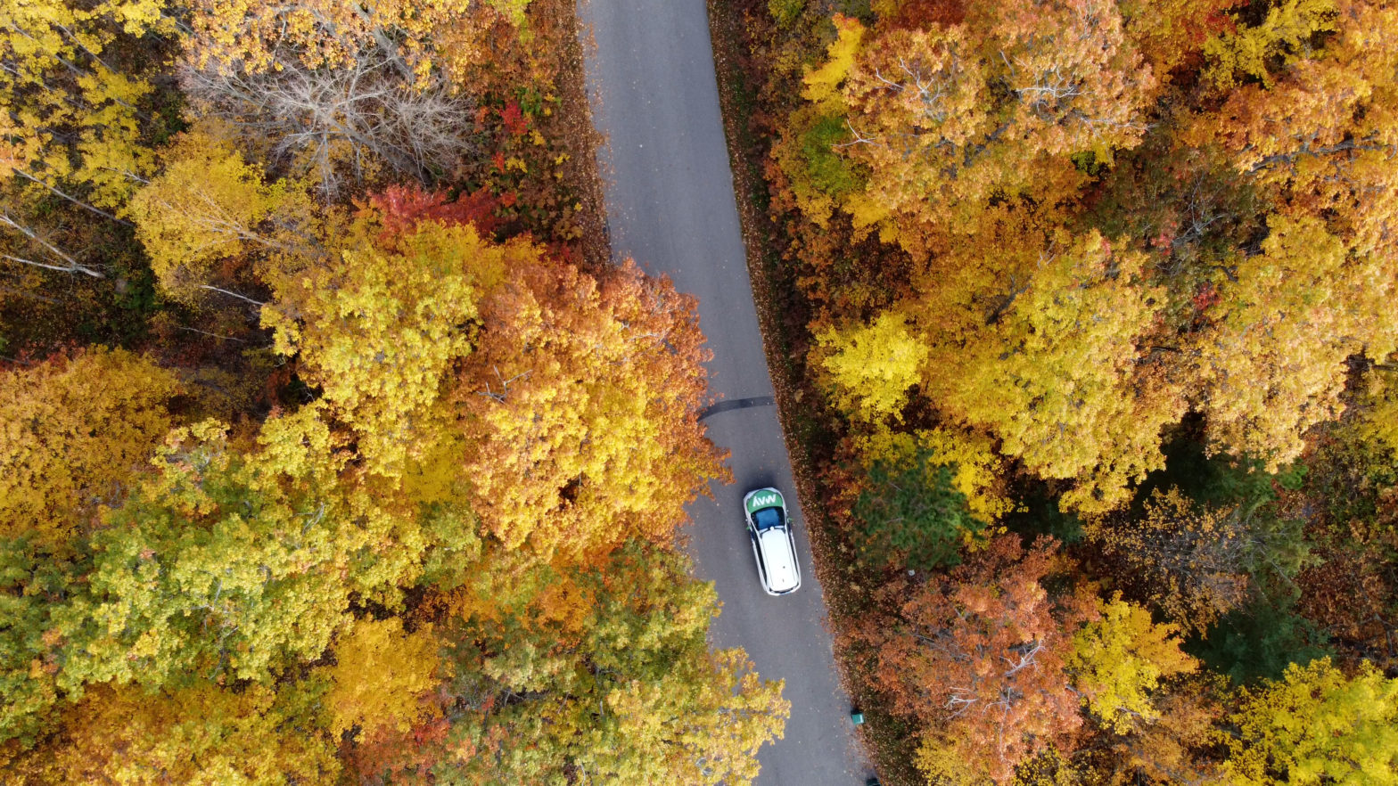 How AVs are increasing options for people with disabilities - Cities Today